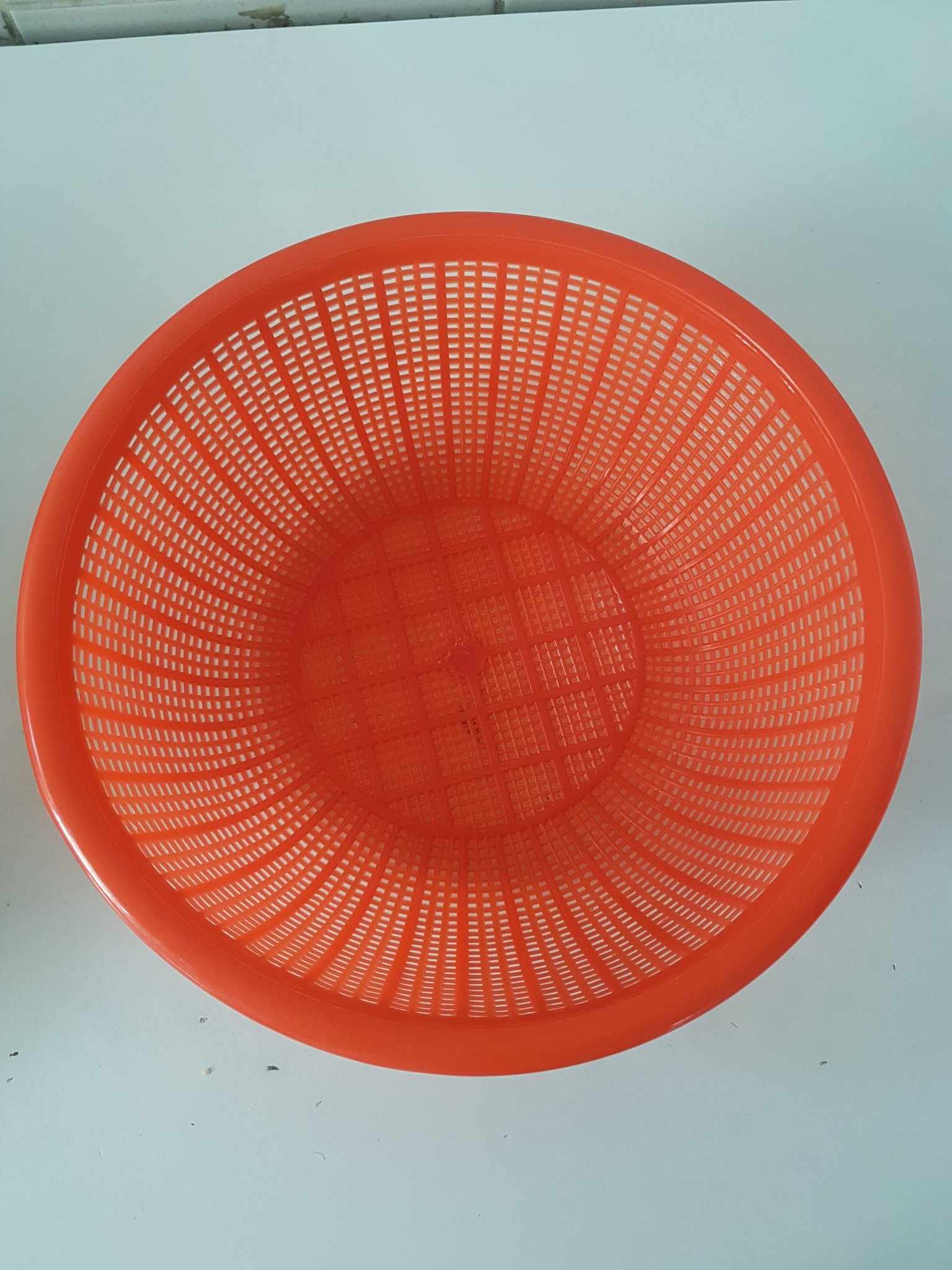 Growing Mung Bean Sprouts | My Cooking Diaries "CooklikeCecilia.com"